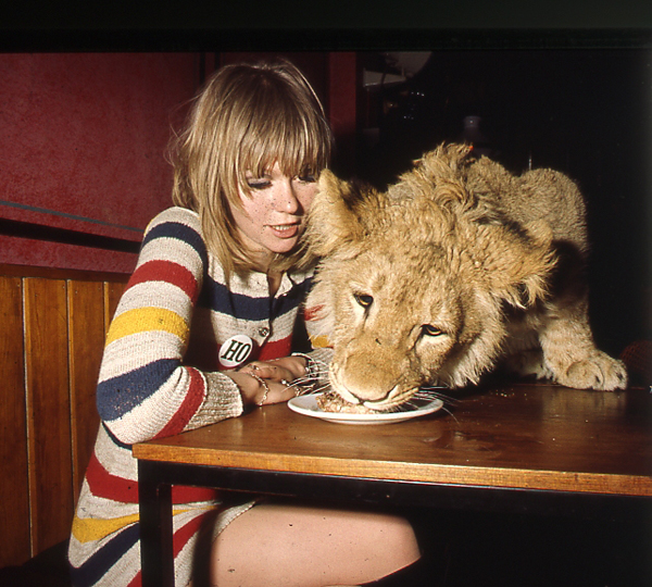 Christian: The lion who lived on the King’s Road | A Lion Called Christian