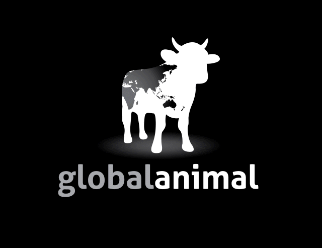 Ace Bourke joins Panel Discussion at Global Animal at University of ...