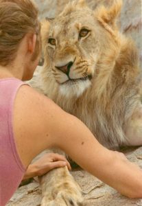Ace Bourke Blog | A Lion Called Christian